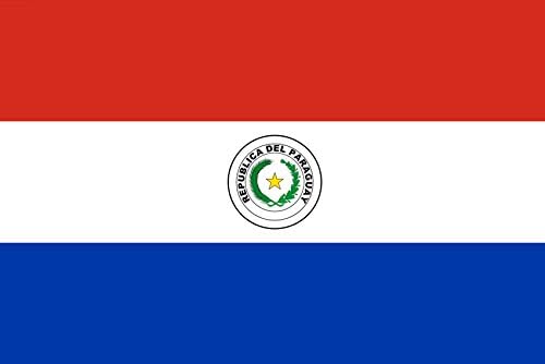 Imán para nevera con la bandera de Paraguay : Amazon.es: Hogar y cocina