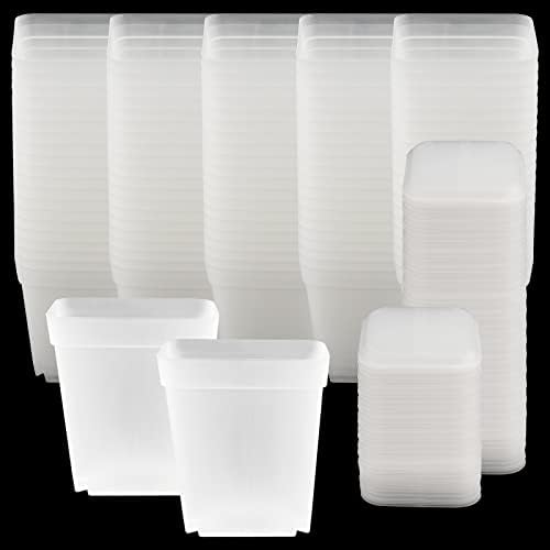 Amazon.com: PINGEUI 150 Pcs Nursery Plant Pots, 3Inch Clear Plant ...