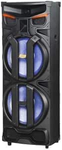 Amazon.com: Edison Professional - Dual 15" Party Speaker (PS450) : Electronics