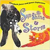 Buy Sunshine and Storm Book Online at Low Prices in India | Sunshine ...