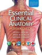Essential Clinical Anatomy 4TH EDITION - Livros na Amazon Brasil