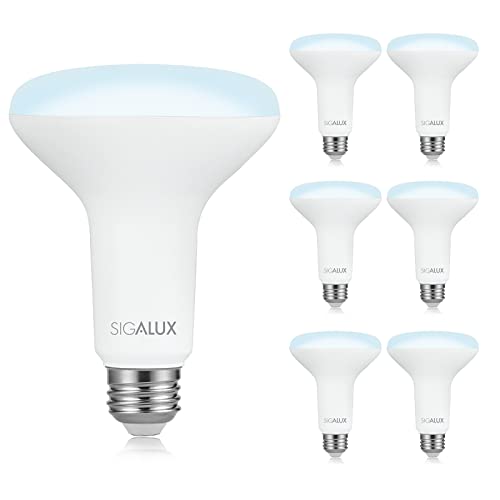 The 10 Best Led Light Bulbs For Can Lights