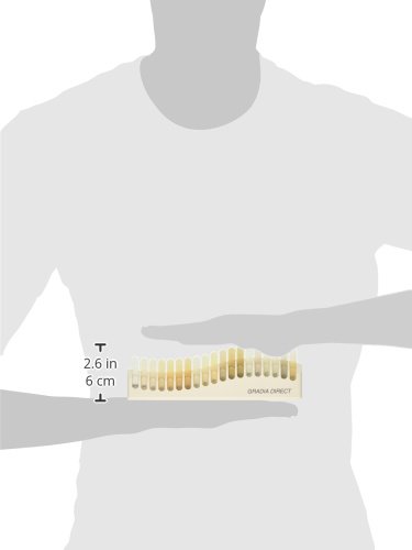 The 25 Best Dental Shade Guides of 2025 [Verified] - Cherry Picks