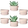 Amazon.com: vensovo 3.7 Inch Pink Terracotta Shallow Succulent Pots - 6 ...
