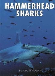 Hammerhead Sharks (Animals & the Environment Series): Welsbacher, Anne ...