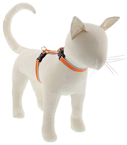 Best Reflective Cat Harnesses for Safe Outdoor Adventures - Totally ...