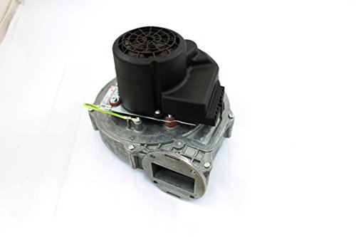 Amazon.com: Combustion Blower Assembly : Industrial & Scientific
