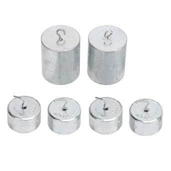 Natudeco 6Pcs Lab Calibration Weights Scale Calibration Weight Set ...