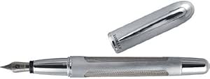 Amazon.com : Libelle Chromatic Chrome Medium Point Fountain Pen - LB ...