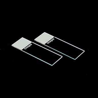 Positively Charged Glass Microscope Slides (2 Units, 72/Unit) – Ground ...