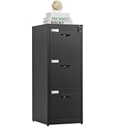 Amazon.com: 2 Drawer File Cabinet with Lock, Two Drawer Vertical Filing ...