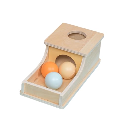 JOAASU Object Permanence Box, Montessori Ball Drop Box for 1-2 Year Old ...