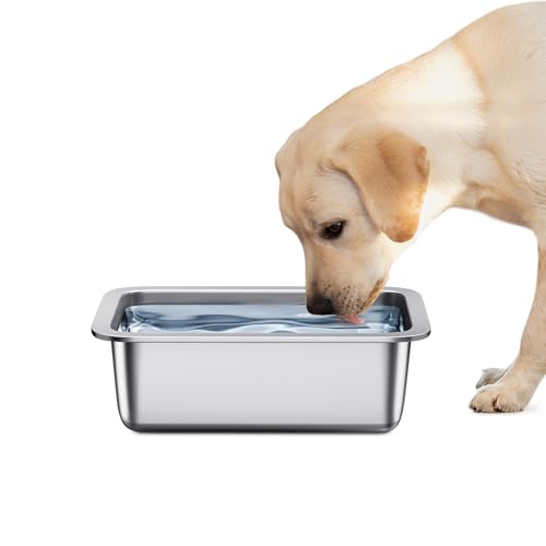 Large Dog Water Bowl – The 15 best products compared - Wild Explained