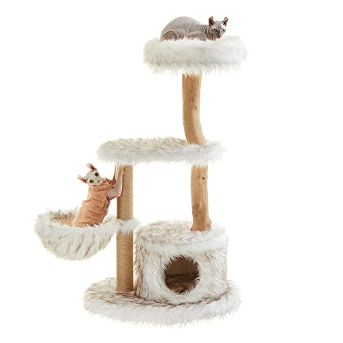 Take your Feline Fun to New Heights with These Top 10 Branch Cat Trees ...