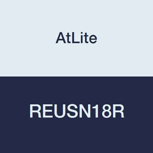 AtLite REUSN18R NY Surface Edge Lit Exit Sign Light, Self Powered, 1 ...