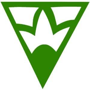 Amazon.com: Inverted Triangle Symbol Decal Sticker (green, 8 inch ...