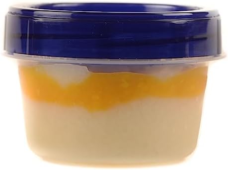 Amazon.com: Biosmart Sandwich Container: 1 Pack Reusable, BPA Free ...