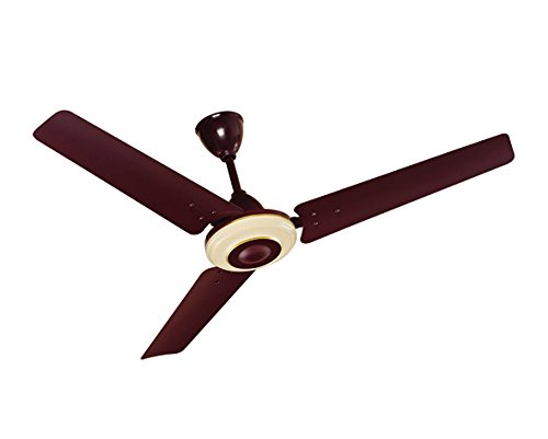 Buy SILKAIR Skoda 1200mm 3 Blades Ceiling Fan (BrownIvory) Online at ...