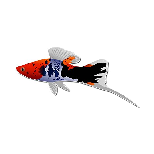 10 Best Black Swordtail Fish for Your Aquarium: A Complete Review and ...