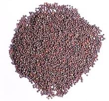 Tarantara Small Mustard Seed/Black Sarso (Rai), 1kg : Amazon.in ...