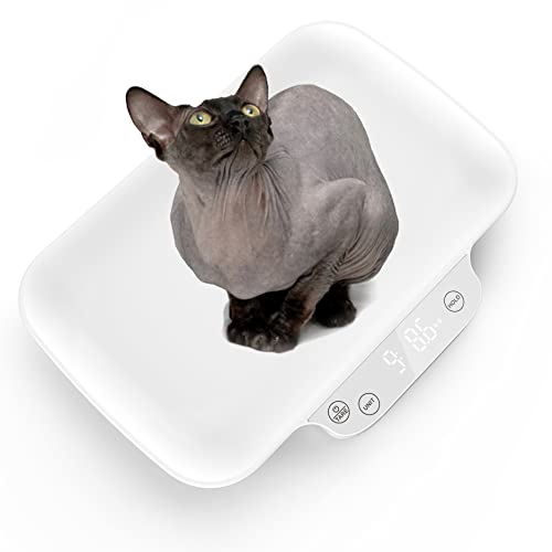Digital Pets Baby Scales for Kitten and Puppy, 15 kg ( 1 g), Digital ...