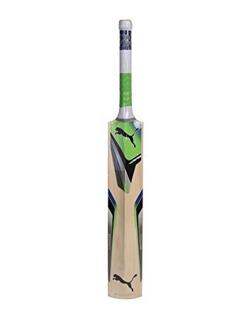 Puma Evospeed Chromium 3500 English-Willow Cricket Bat, Adult : Amazon ...