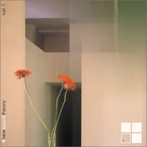 Various Artists - New Sound Theory 1 - Amazon.com Music