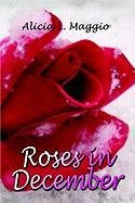 Amazon.com: Roses in December: 9781413784251: Maggio, Alicia L.: Books