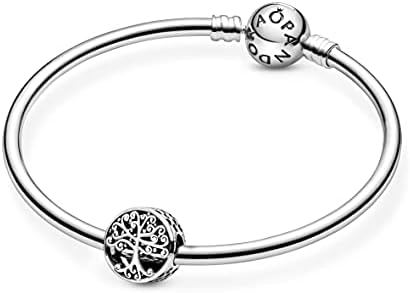 Amazon.com: PANDORA Jewelry Openwork Family Roots Charm - Family Tree ...