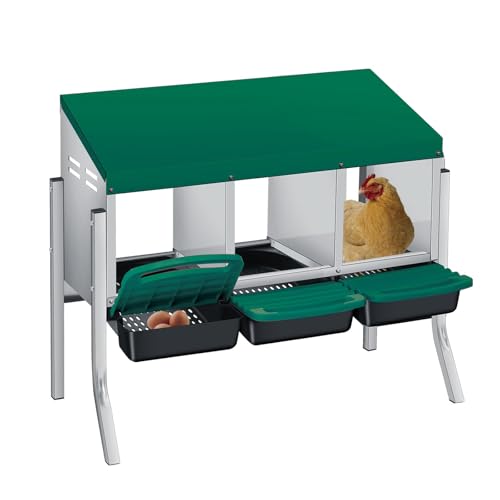 Les dimensions et tailles d'un pondoir pour poules