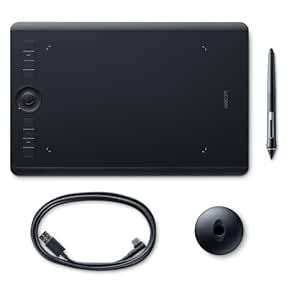 Amazon.in: Buy Wacom Intuos Pro Pen Tablet (Size: M) | Medium Professional Graphic Tablet Incl ...