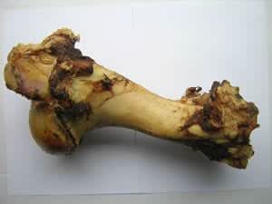 Jurassic Postman Leg Extra Large Dog bones 10 pk : Amazon.co.uk: Pet ...