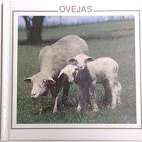 Sheep (Farm Animal Discovery Library): Stone, Lynn M.: 9780865930384 ...