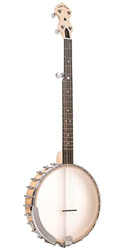 10 Best Professional Banjo in 2024 - Detailed Review and Buyer's Guide