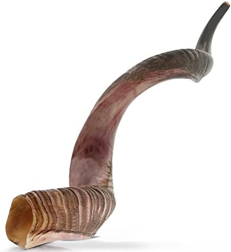 Yomtov Shalomshofar Instrument Natural Horn Instrument Perfect Sound ...