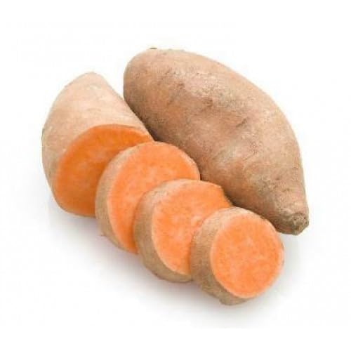 Fresh Ratalu, 500 gms : Amazon.in: Grocery & Gourmet Foods