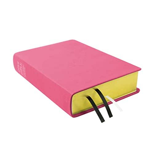 Amazon.com: LDS Scriptures Hand-Bound Pink Genuine Leather Large Holy ...