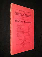 Amazon.in: Buy Schémas d Anatomie, 3e fascicule : Membres inférieurs ...