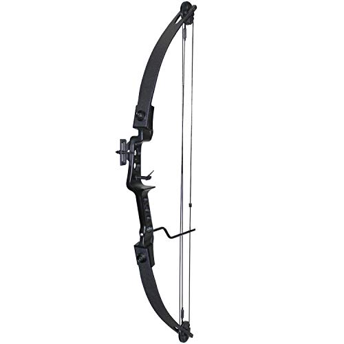 Meilleur Arc à Poulie → Comparatif Modèles et Meilleurs Prix 2022