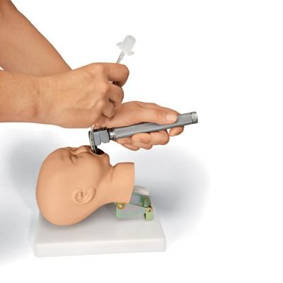 Amazon.com: Neonate Head for Intubation : Home & Kitchen