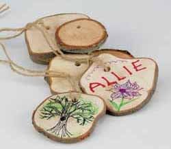 Amazon.com: Nature-Watch Tree Cookie Tree Ring Craft Kit (Makes 25 ...