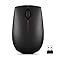Amazon.com: Lenovo 300 Wireless Mouse – Computer Mouse for PC, Laptop ...