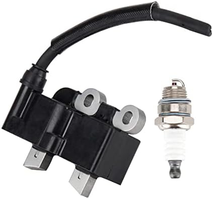 Amazon.com: Ignition Coil with Spark Plug 290178024 290178020 for Toro ...