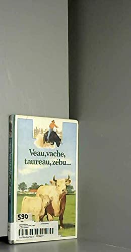 Amazon.com: Veau, vache, taureau, zébu (DECOUVERTE BENJAMIN (1 ...