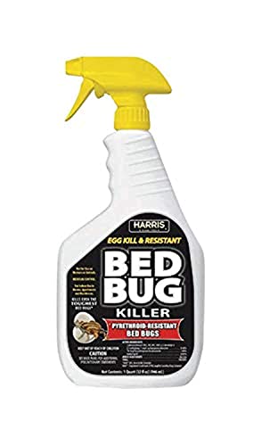 Best Kill Bed Bugs Sprays: Your Ultimate Guide to Eradicating Bed Bugs ...