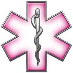 Pink Emt Logo