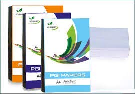 PGI Papers A4 Copier 70 GSM Set of 4 : Amazon.in: Office Products