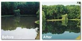 Amazon.com: LAKE COLORANT WSP WATER SOLUBALE PACK