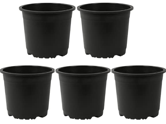 Audbhidhi Pots Gamla 12 Inches - Pack of 5 | Black Nursery Fancy Flower ...