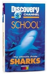 Amazon.com: The Ultimate Guide to Sharks : Discovery channel: Movies & TV